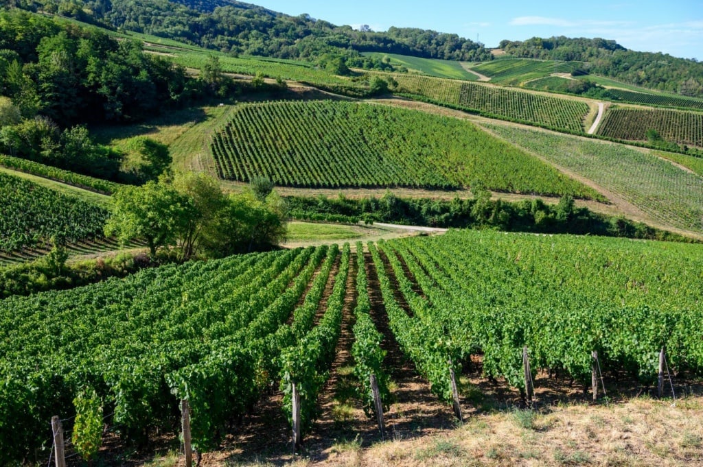 Geheimtipps für die Franche-Comté - reisen EXCLUSIV