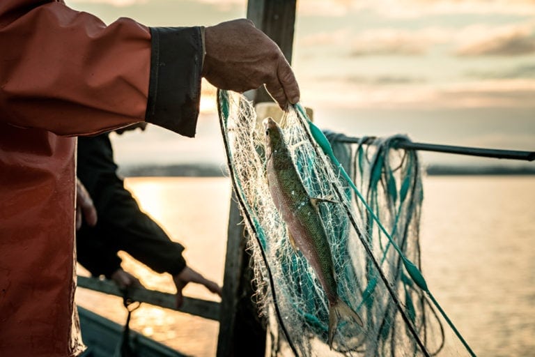 Mit dem Fischer auf dem Bodensee - reisen EXCLUSIV