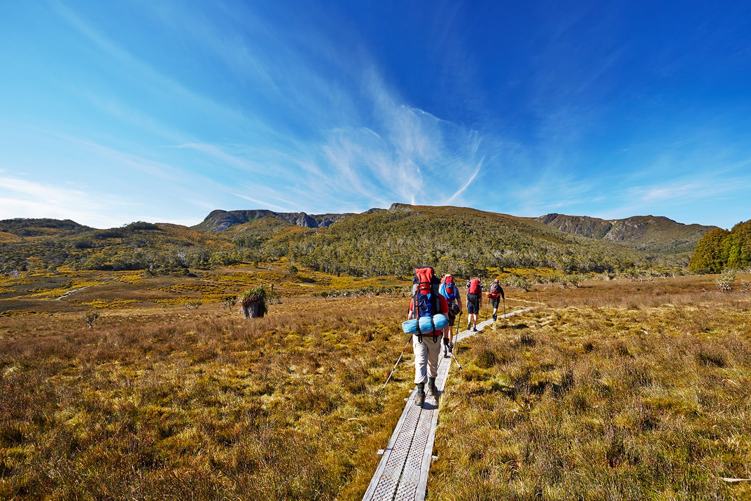 Wandern in Tasmanien - reisen EXCLUSIV