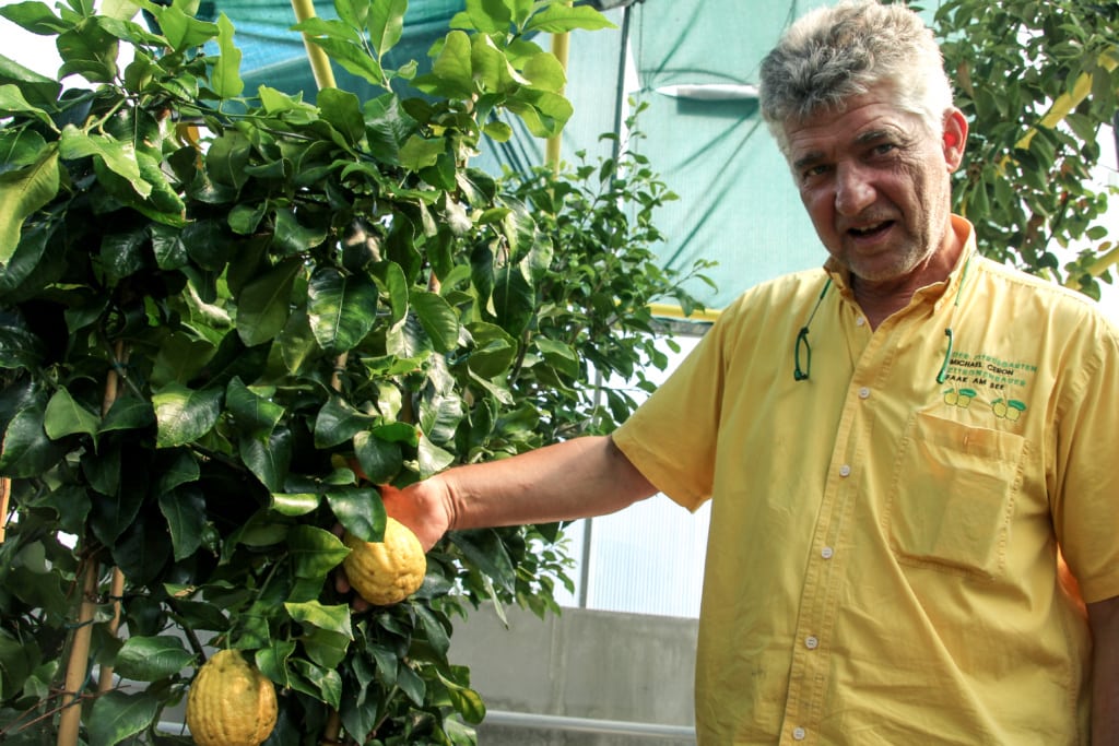 Kernig speisen in Kärnten - reisen EXCLUSIV