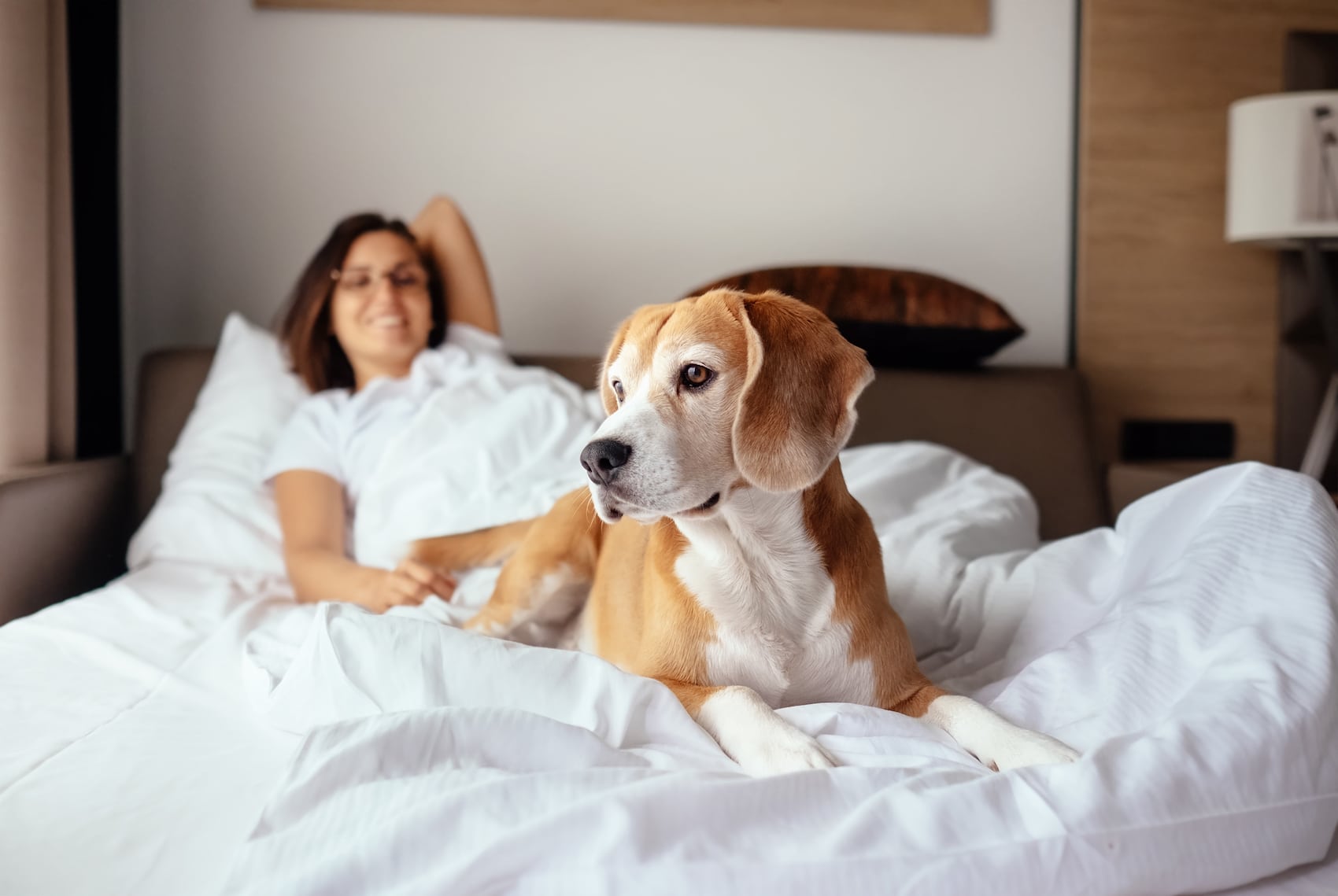 Unterwegs mit dem Vierbeiner: Urlaub mit Hund - reisen EXCLUSIV