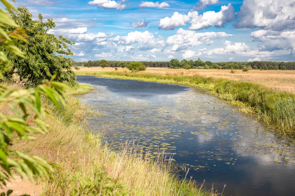 Poznań: Eine großpolnische Überraschung - reisen EXCLUSIV