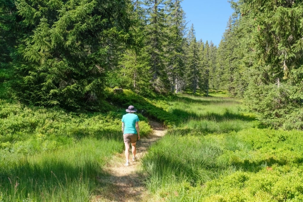 Die schönsten Orte in der Natur in den französischen Alpen - reisen ...