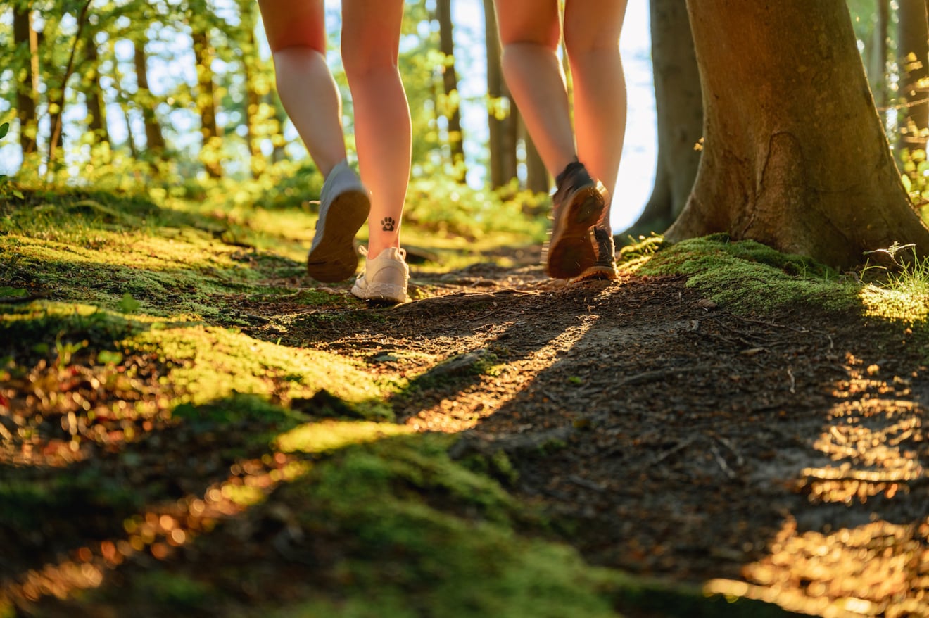 Bodden-Panoramaweg auf Rügen