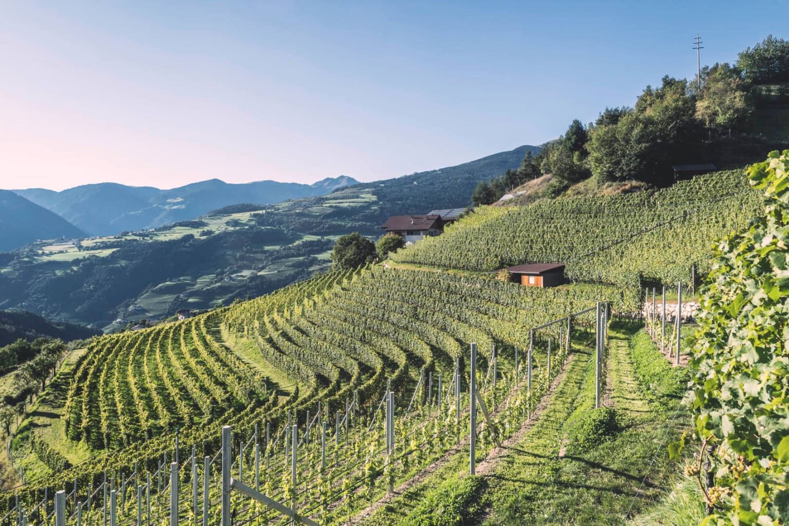 Brixen in Südtirol: Was man in der Stadt unternehmen sollte - reisen ...
