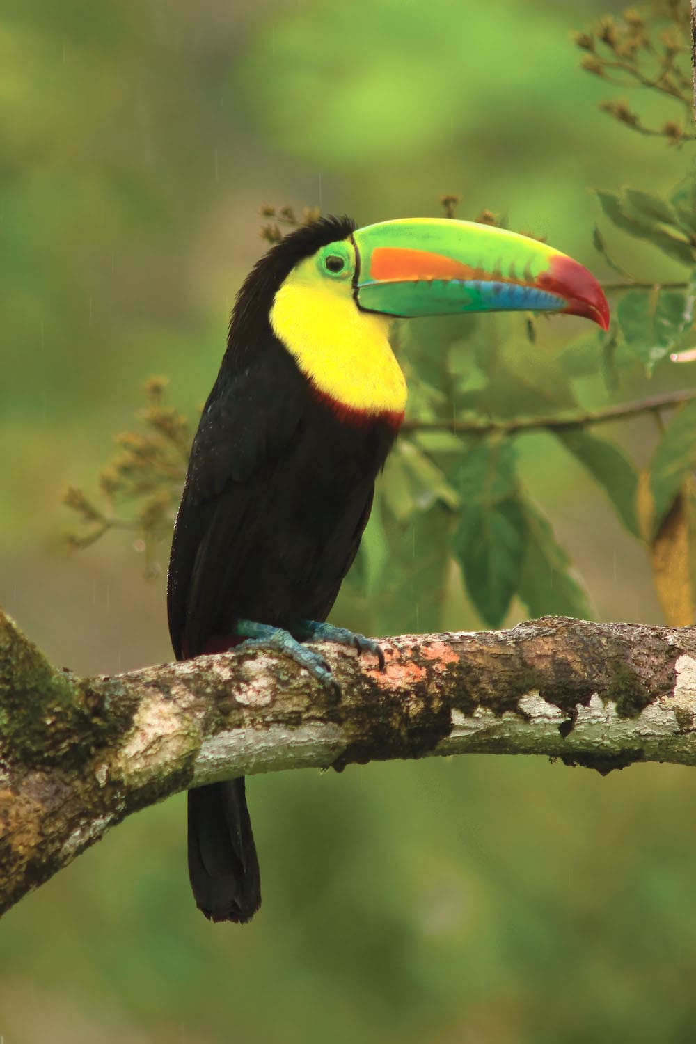 Natürlich schön: Urlaub in Costa Rica - reisen EXCLUSIV