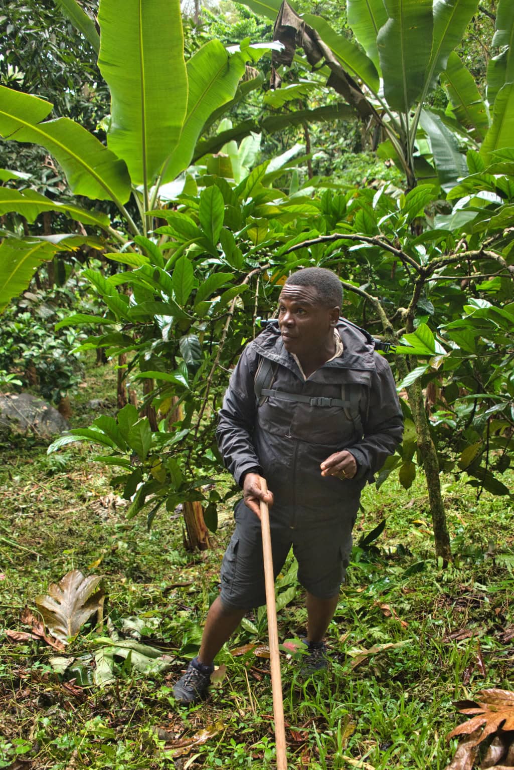 São-Tomé-und-Príncipe-Urlaub: 7 Gründe für einen Insel-Besuch - reisen ...