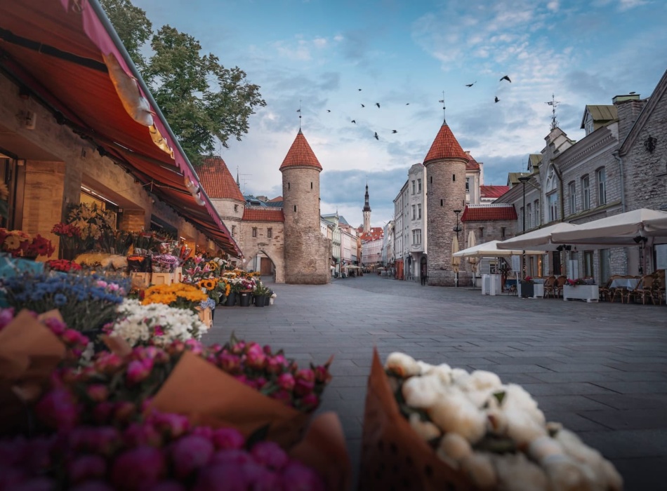 Estland: 6 Tipps für einen Städtetrip nach Tallinn - reisen EXCLUSIV